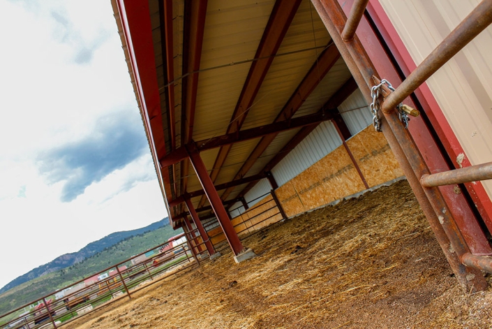 Steel Equine Shelters in Fort Collins, Colorado | Sunward Steel Buildings